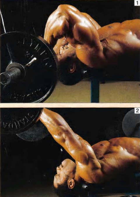 EXTENSIA TRICEPSULUI DIN DECUBIT DORSAL - Bodybuildingtaboo