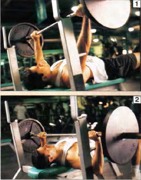 IMPINSUL CU BARA DIN DECUBIT DORSAL - Bodybuildingtaboo