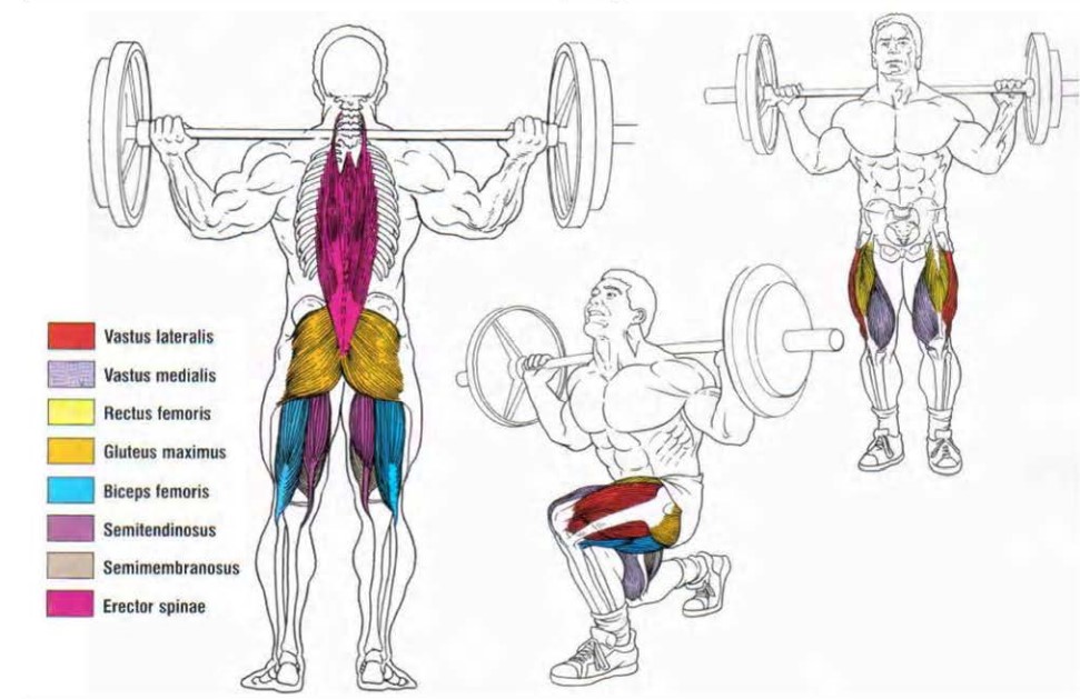 FANDARI CU BARA DIN ORTOSTATISM - Bodybuildingtaboo