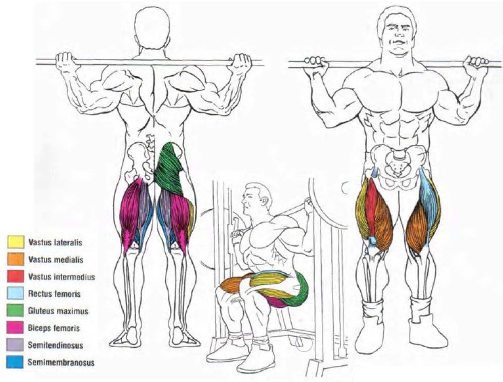 GENUFLEXIUNI LA SMITH (CULISANTĂ) - Bodybuildingtaboo